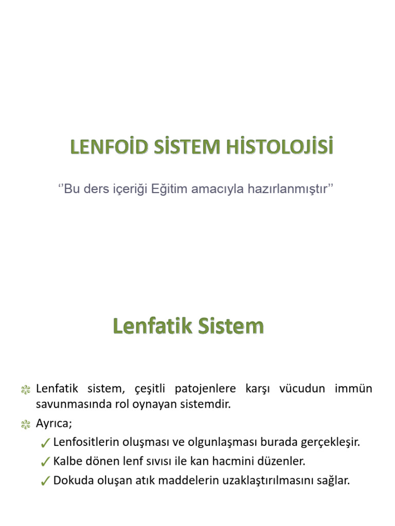 1 Dalak-Timus Histolojisi | PDF