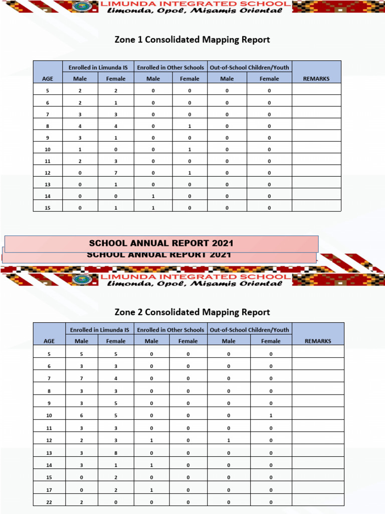Mapping Report | PDF