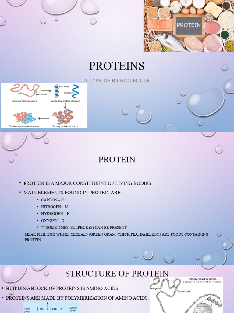 Proteins and Lipids | PDF | Proteins | Lipid