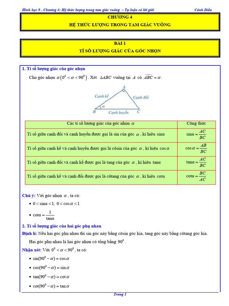 Cac Dang Bai Tap He Thuc Luong Trong Tam Giac Vuong Toan 9 Canh Dieu | PDF