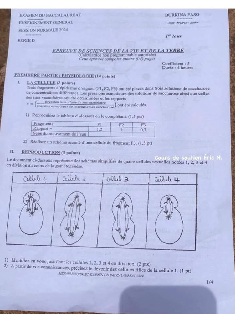 Sujet Bac 2024 Svt Serie d | PDF