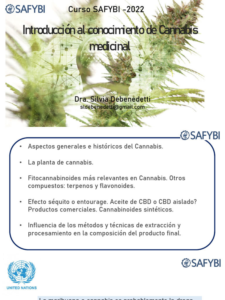 Clase 1 | PDF | Cannabis (Droga) | Tetrahidrocannabinol