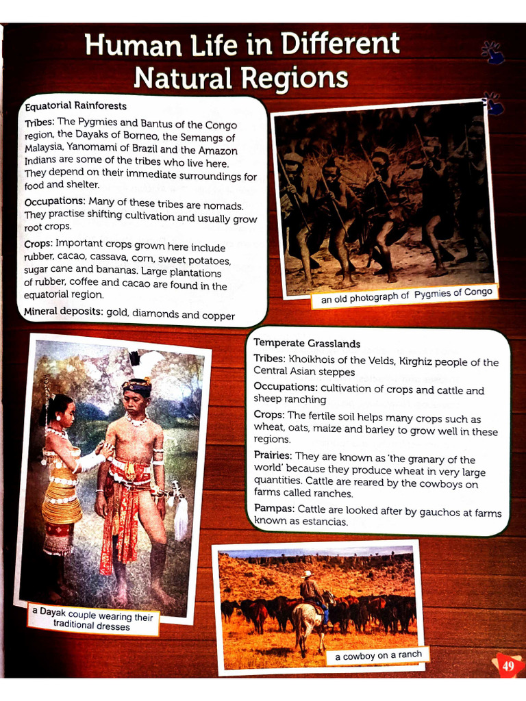 Regions | PDF