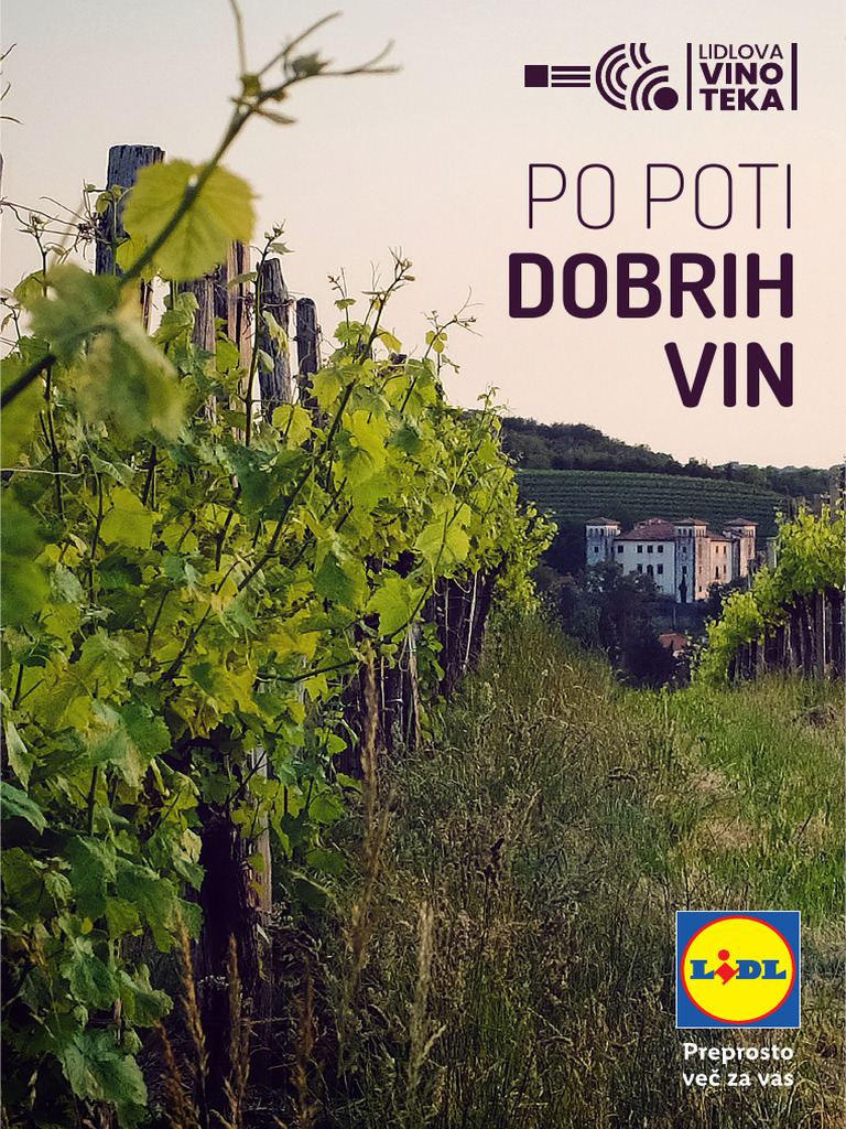 Po Poti Dobrih Vin Lidlov Vinski | PDF