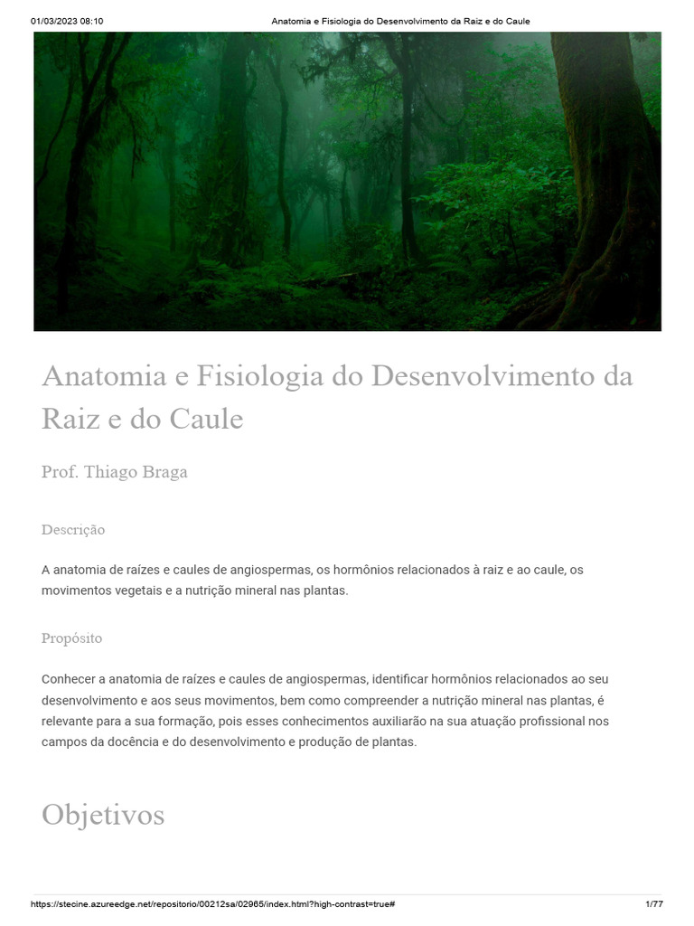 Anatomia e Fisiologia Vegetal | PDF | Raiz | Latido