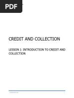 Credit Collection Policy Procedures and Practices | PDF | Credit ...
