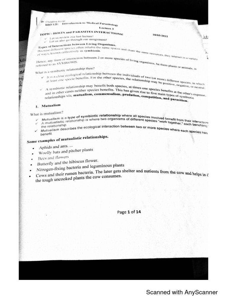 AnyScanner 02 17 2024 | PDF