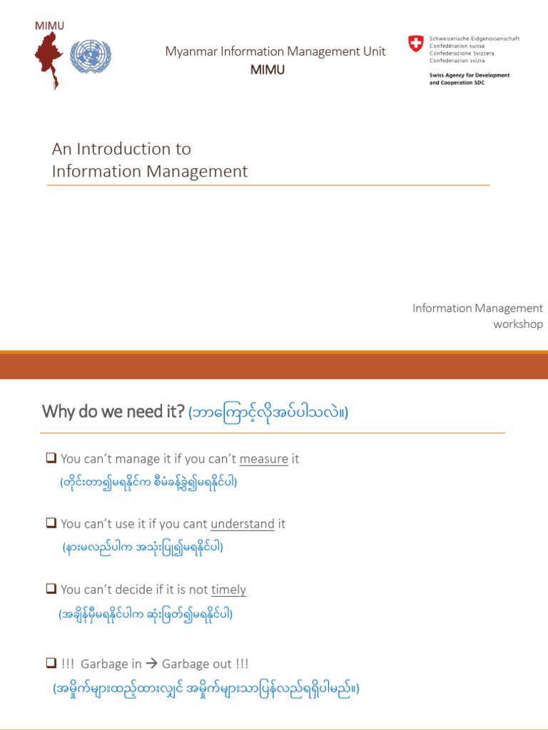 Introduction To Information Management Burmese | PDF