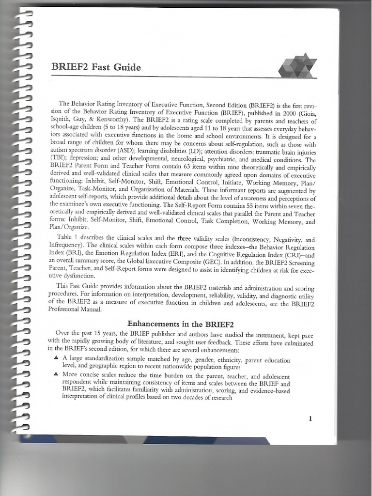 Brief 2 Fast Guide | PDF
