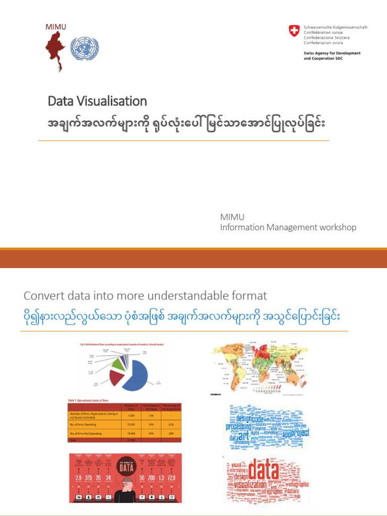 Data Visualization Burmese | PDF