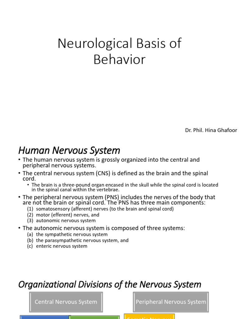 Neurological Basis of Human Behavior | PDF | Nervous System | Spinal Cord