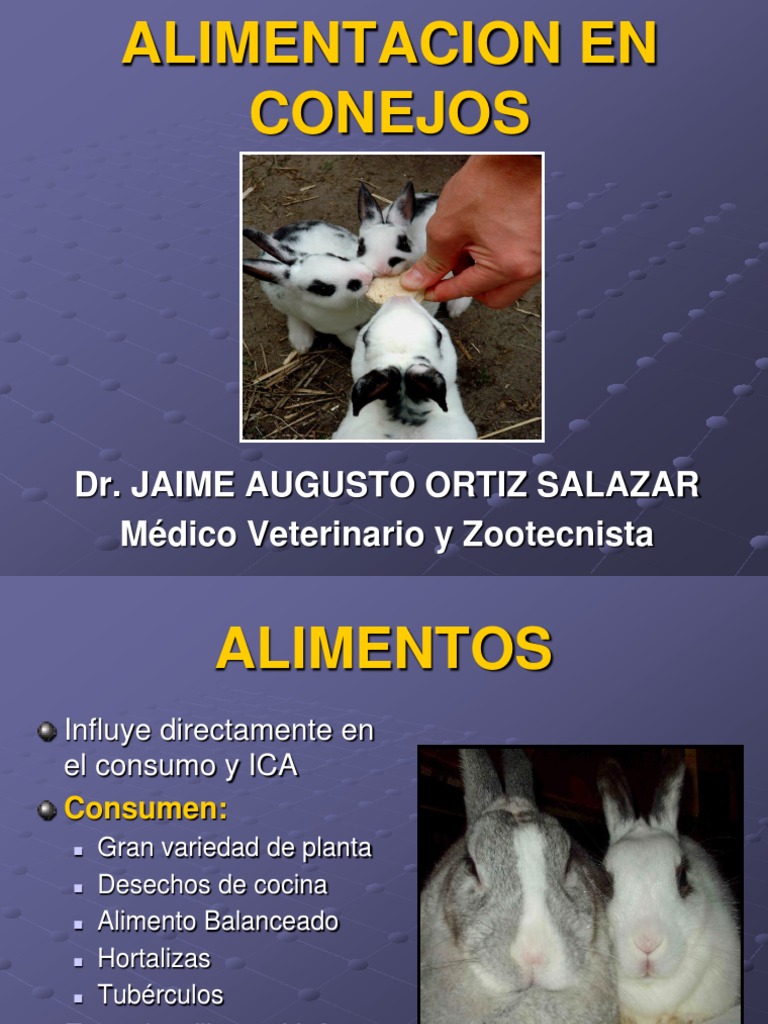Alimentacion en Conejos | PDF | Alimentos | Nutrición