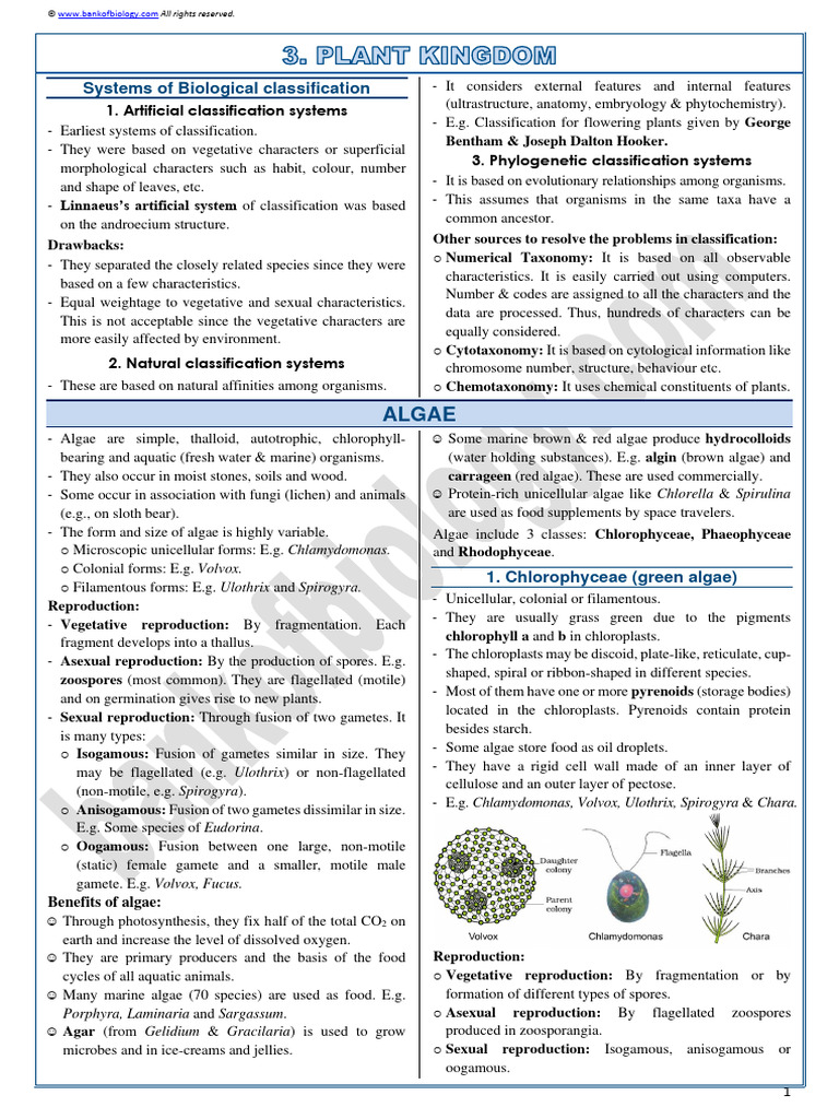 3 Plant Kingdom-Sample Notes | PDF | Eukaryotes | Biology