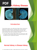 Understanding Chronic Kidney Disease | PDF