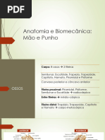 Aula 6 Ossos, Músculos, Inervação e Vascularização Do Punho e Mão | PDF ...