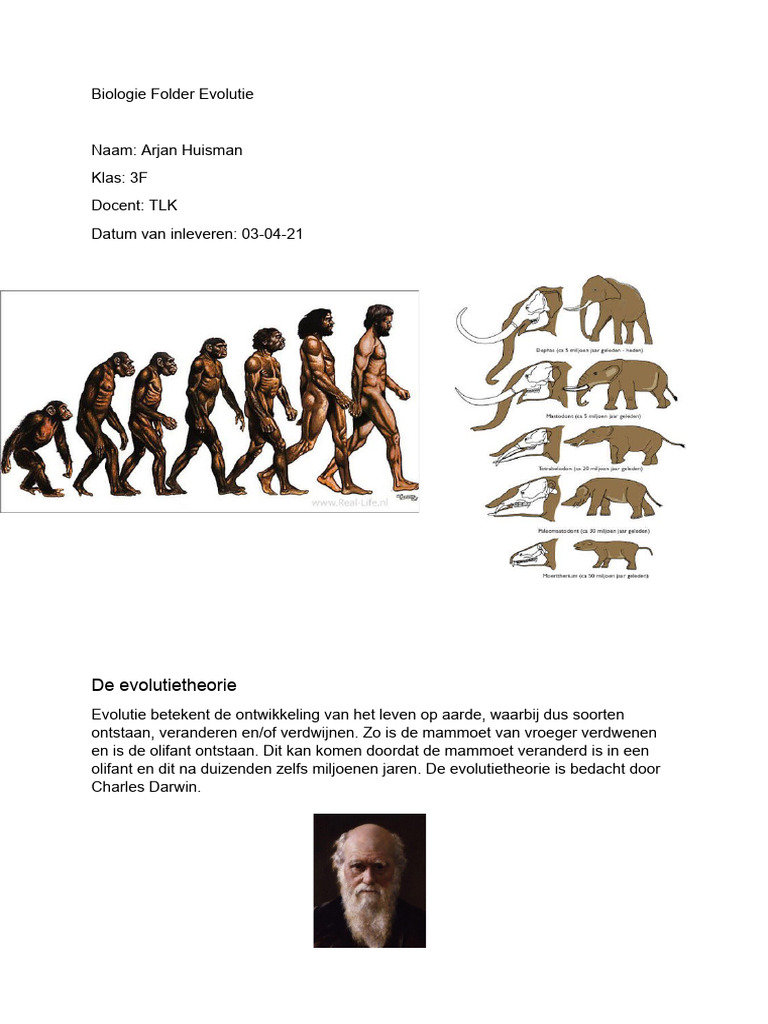 Biologie Folder Evolutie (1) | PDF