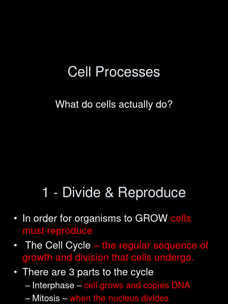 Cell Processes | PDF