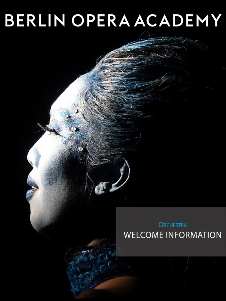 BOA Welcome Information Orchestra | PDF | Travel Visa | Public Transport