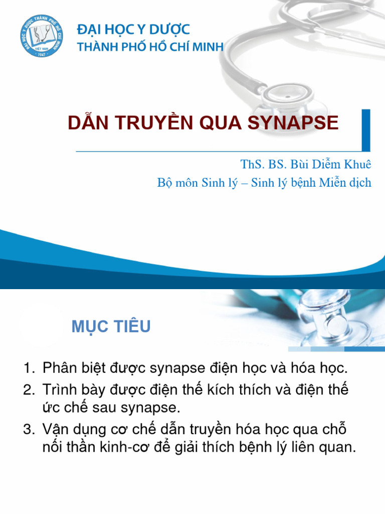 2.1b SYNAPSE Module HNSB | PDF