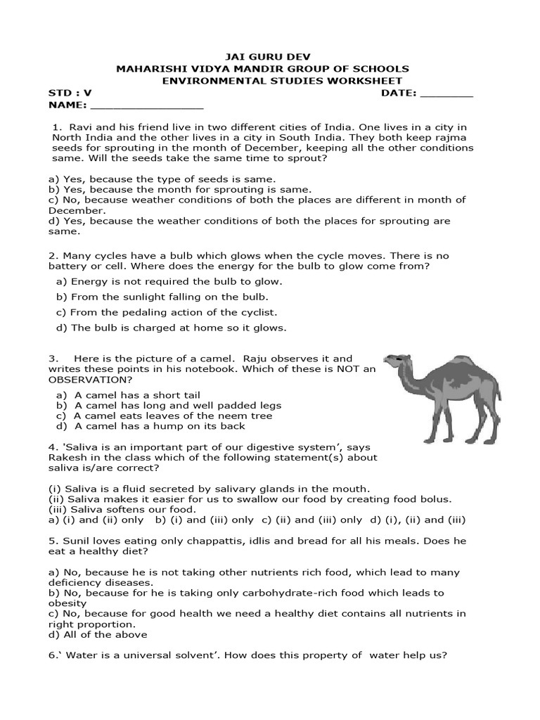 Grade 5 Environmental Studies Worksheet | PDF | Water | Mountaineering