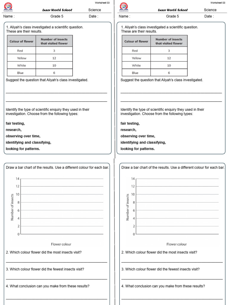 Grade 5 Seed Germination Worksheet | PDF | Seed | Flowers