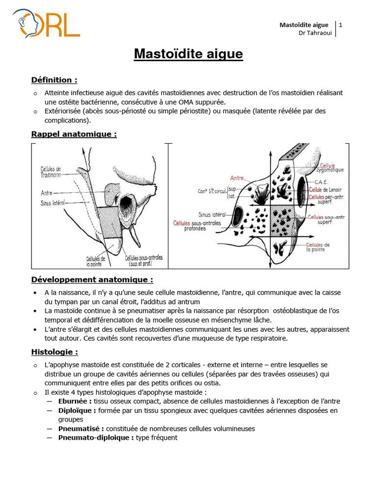 Mastoïdite aiguë : définition et traitement | PDF | Méningite | Os