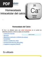 Función y Mecanismo de Bombas de Calcio | PDF | Calcio | Membrana celular