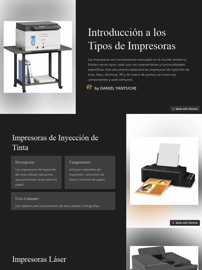 Introduccion A Los Tipos de Impresoras | PDF | Impresora (Computación) | Impresión 3d