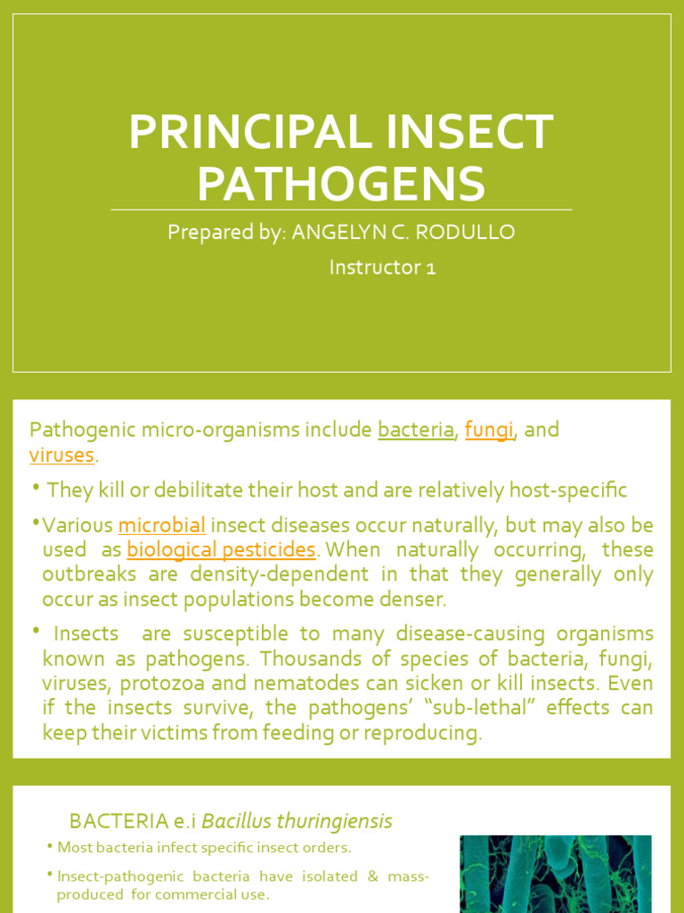 Principal Insect Pathogens | PDF | Coccinellidae | Insects