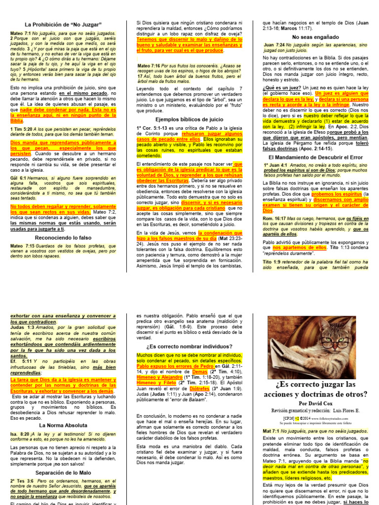 Es Correcto Juzgar | PDF | Biblia | Pecado