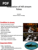 Life Cycle of Laccifer Lacca Insect | PDF | Insects | Anatomical Terms ...
