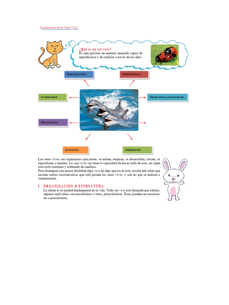 Ficha de Los Seres Vivos | PDF | Organismos | Metabolismo