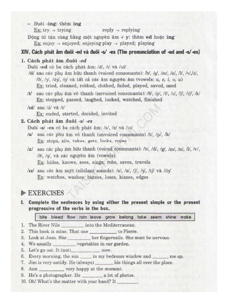 Exercise - Present Simple Present Continuous Tense | PDF