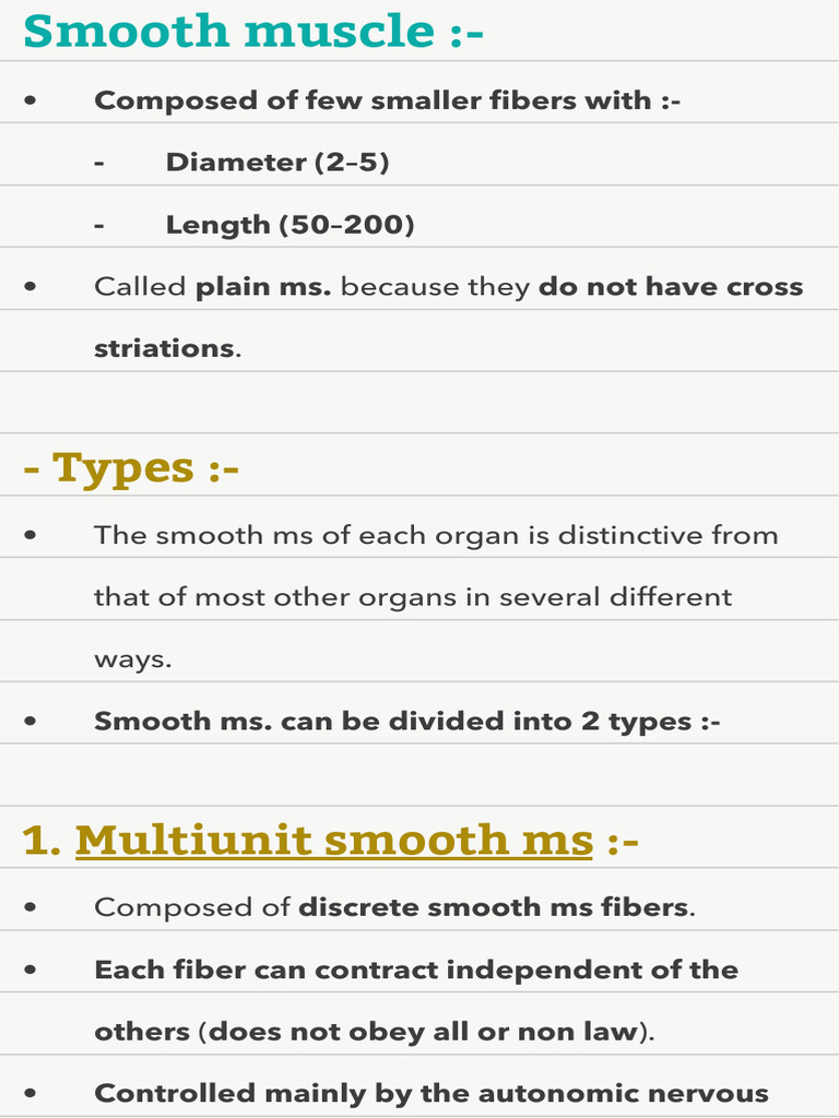 Smooth Muscle | PDF | Muscle Contraction | Anatomy