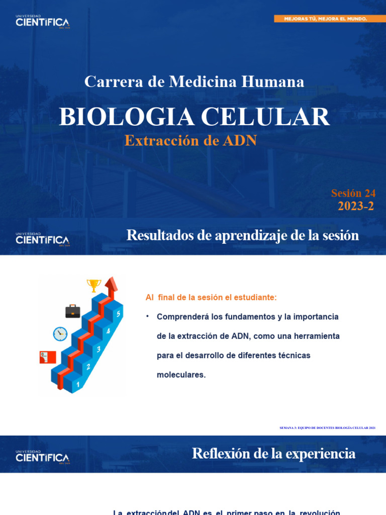 PR N° 09 Extracción de ADN (MOD) | PDF | Adn | Biología