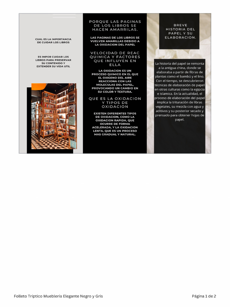 Folleto Triptico de Quien Sabe Que XD | PDF