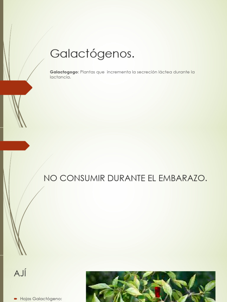 GALACTOGOGOS | PDF