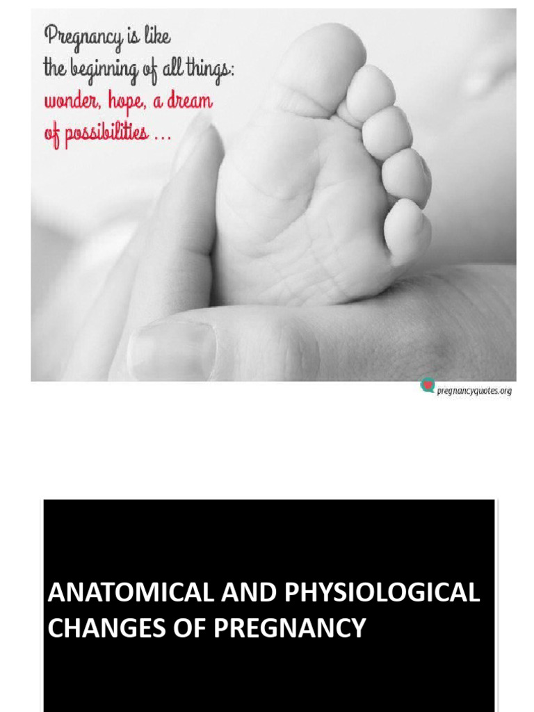 Pregnancy: Anatomical and Physiological Changes | PDF | Respiratory ...