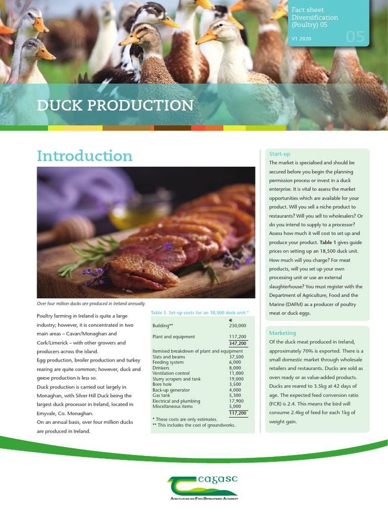 5 Poultry Duck Production | PDF | Poultry | Duck