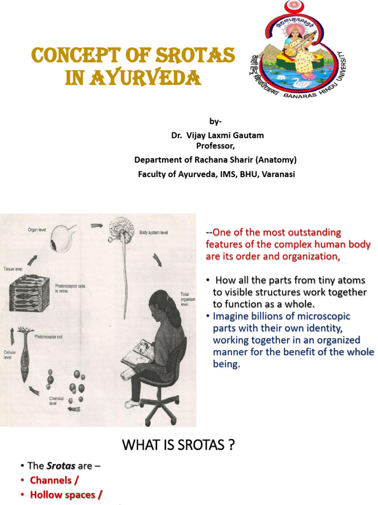 Concept of Srotas in Ayurveda | PDF | Chemical Elements | Human Body