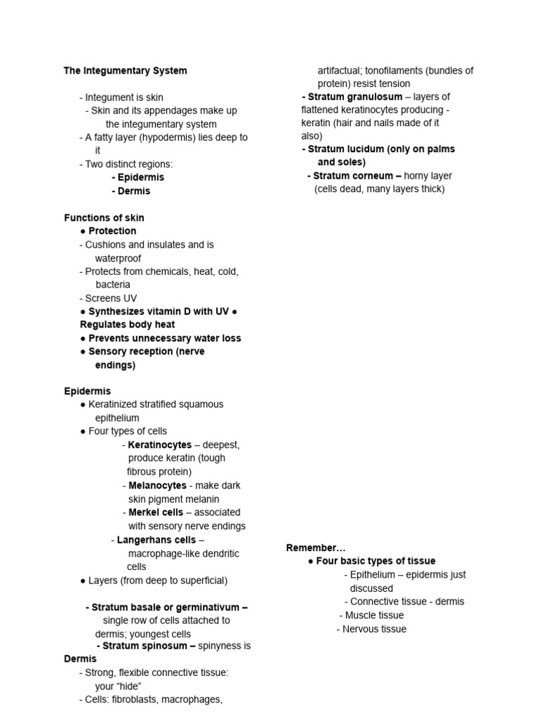 Nervous | PDF | Integumentary System | Skin