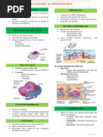 Anatomy and Physiology-Lecture Notes | PDF | Bone | Anatomical Terms Of ...
