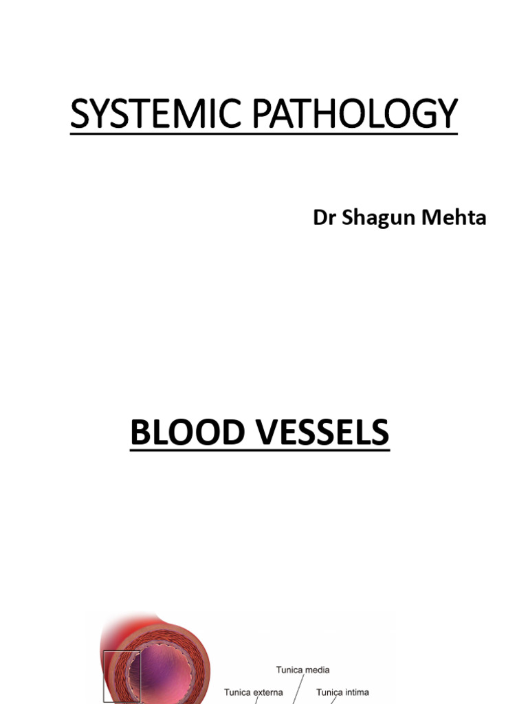 Systemic Pathology Images | PDF | Lung | Artery