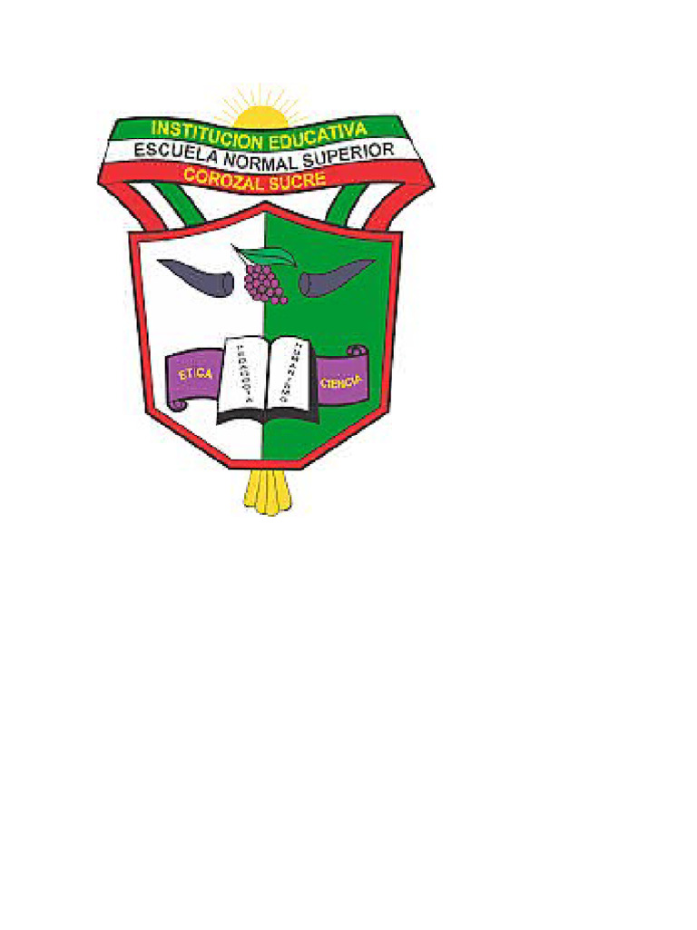 Bandera Corozal | PDF