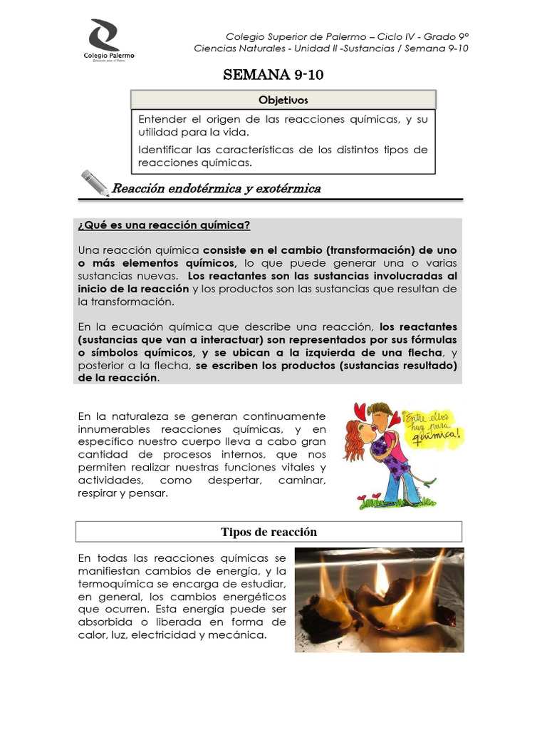 COLEGIO PALERMO - GRADO 9° - SEMANA 9 - 10 | PDF | Factorización | Reacciones químicas
