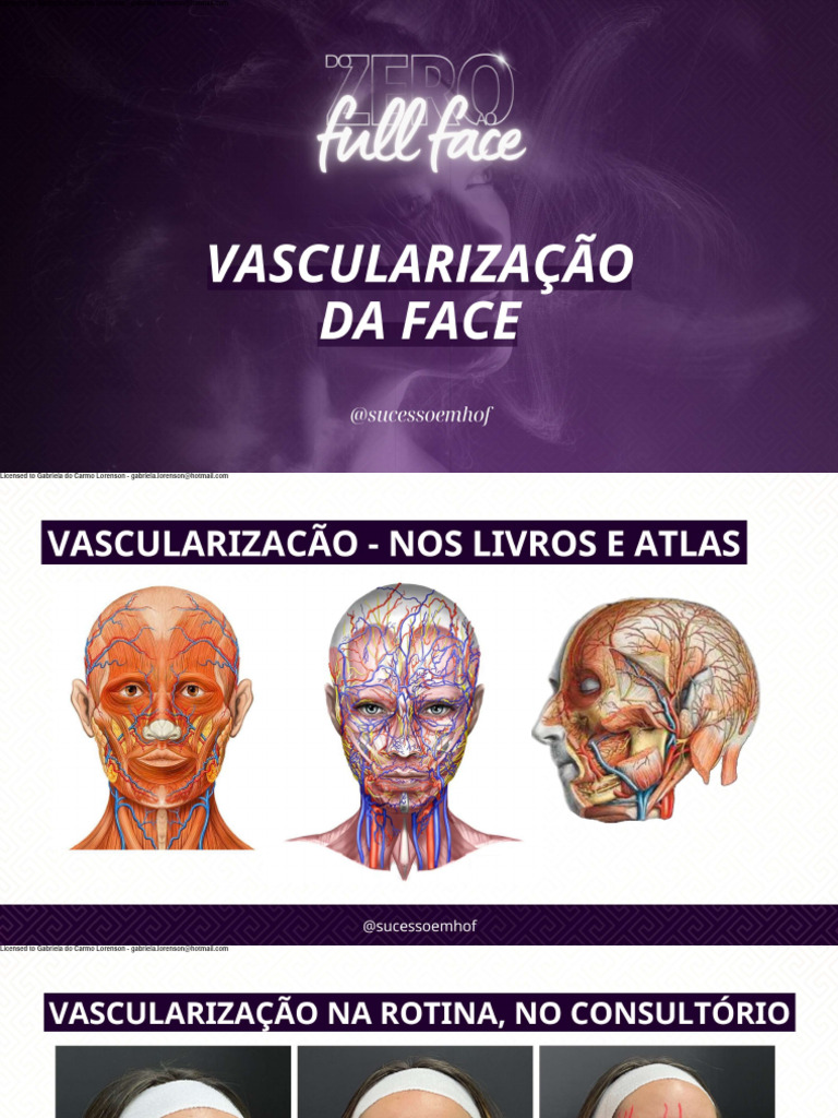 Vascularização da Face PDF | PDF