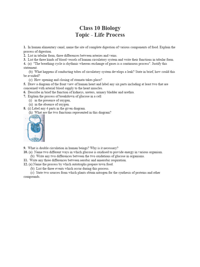 Class 10 Biology Test Paper - Life Process | PDF