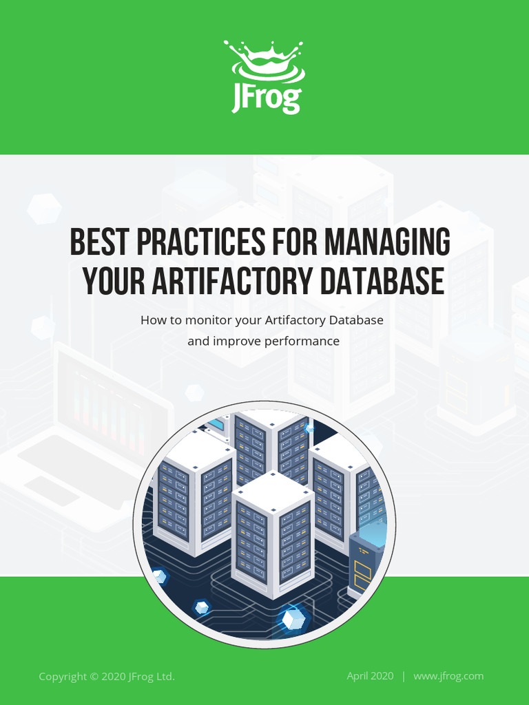 Best Practices for Managing Your Artifactory Database | PDF | Databases | File System