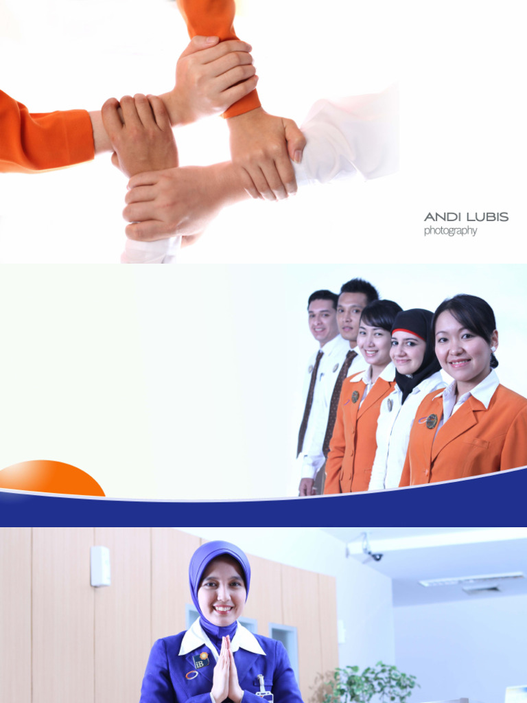 Andi Lubis - Commercial - Portfolio - Bank Sumut | PDF