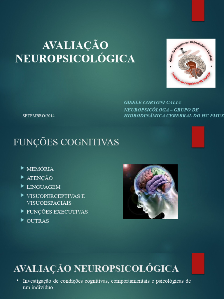 Avaliação Neuropsicológica de Rejane Shumman | PDF | Neuropsicologia ...